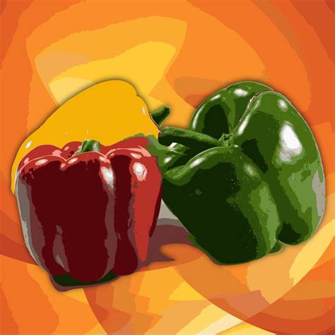 Capsicum Drawing By Mitul Shah Saatchi Art