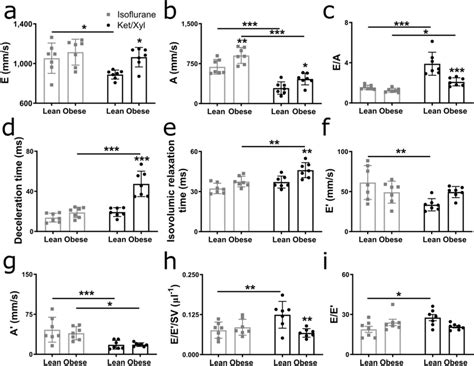 Diastolic Dysfunction In Obese Zsf1 Rats Is Detectable When Download Scientific Diagram