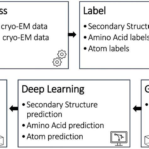 The Data Preparation And Evaluation Pipeline For Cryo2struct Dataset Download Scientific Diagram