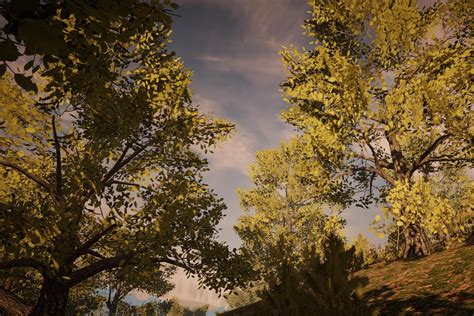 Mobile Tree Pack 2 3d Trees Unity Asset Store