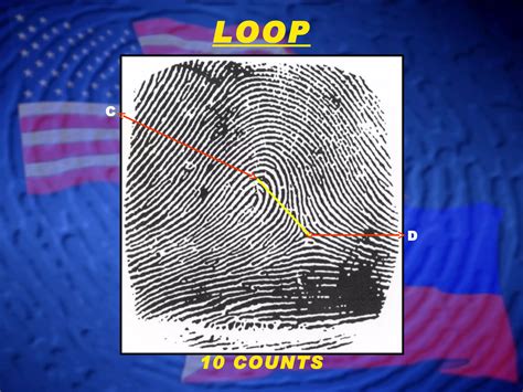 Fingerprint Classification Slide 1 Ppt Science