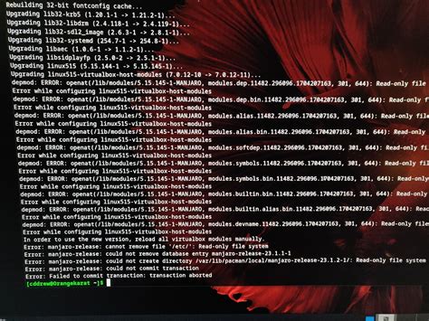 Update Ended In Readonly Filesystem Support Manjaro Linux Forum