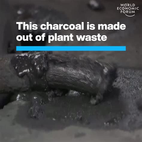 Janet Squitieri Posted On Linkedin