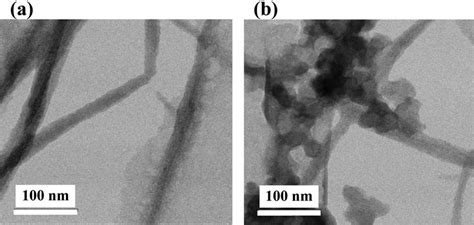 Crystallite Size D Of All The Generated Nanoparticles And The Target Download Scientific
