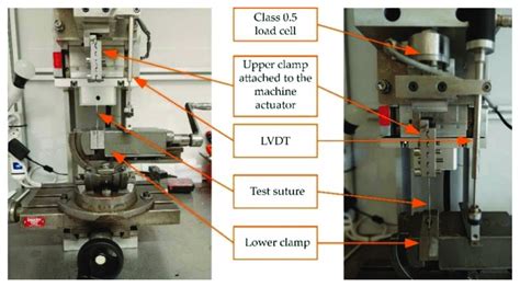 Uniaxial Traction Compression Testing Machine Download Scientific Diagram