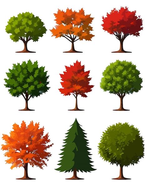 Premium Vector Beautiful Trees Bushes Shrubs Top View Vector