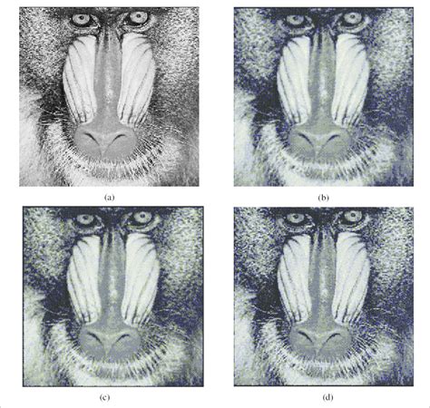 Comparison Of Interpolation Schemes A Original Image B