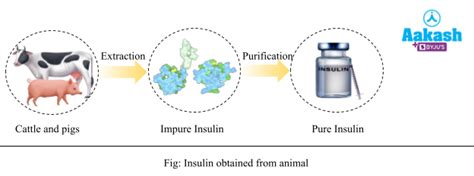 Gene Therapy Types Genetically Engineered Insulin And Molecular