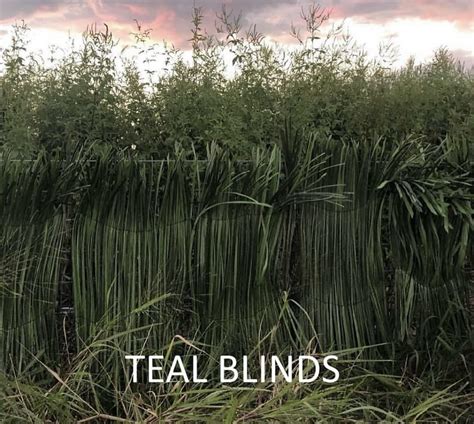 Blindgrass Blindgrass Added A New Photo