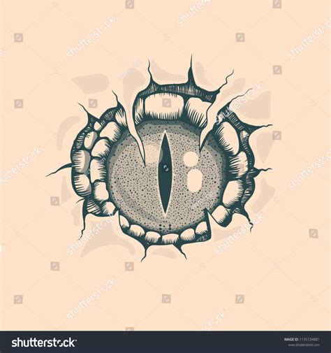 Vintage Reptyle Eye Drawing Tattoo Style Stock Vector Royalty Free