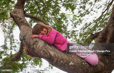 Girl Laying In Tree Branch Photos And Premium High Res Pictures Getty