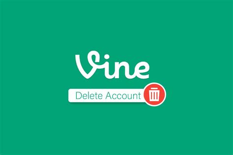 How To Delete Vine Account Techcult
