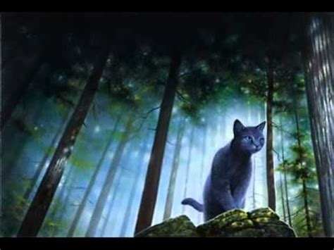 Bluestar On High Rock Warrior Cats Warrior Cat Warrior Cats Art