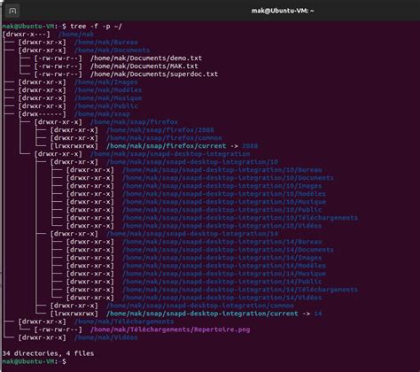 Comment Utiliser La Commande Tree Avec Des Exemples Sur Linux