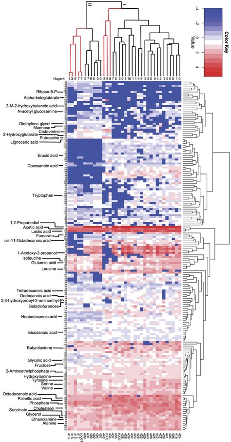 Heatmap Of Metabolite Enrichment By Sample Shown Is A Heatmap Of The