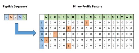Binary Profile Feature Generation Of Peptide Sequences Download Scientific Diagram