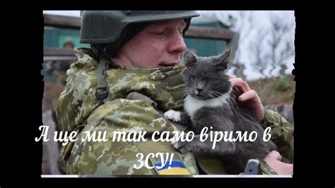 Війна показує що найдорожче Історія однієї тварини на тлі війни Моральні страждання від
