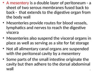 The Gross And Microscopic Anatomy Of Digestive System Ppt