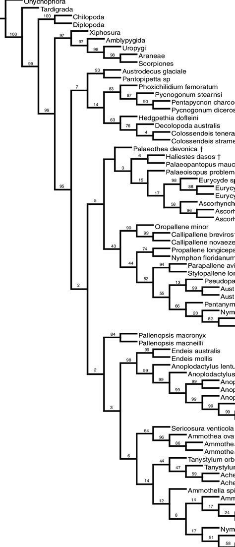 Most Parsimonious Tree Resulting From Total Evidence Analysis Of 10 902