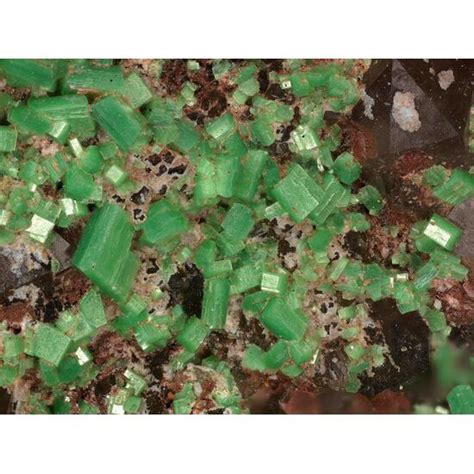 E Rocks Mineral Auctions