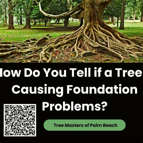 Stream How Do You Tell If A Tree Is Causing Foundation Problems By