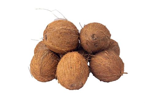 Coconut Small Pricepally