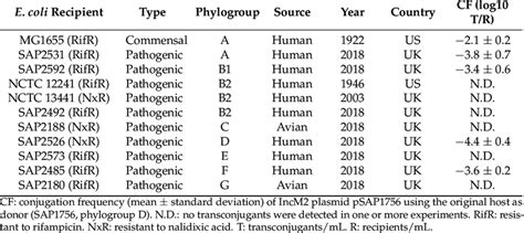 Pathogenic And Commensal E Coli Isolates Used As Recipients In