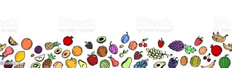 정원 과일 식용 식품 식물 손 그리기 윤곽선 지속적인 원활한 그림 가장자리의 아래쪽 테두리입니다 흰색 배경에 고립되어 있습니다 벡터 0명에 대한 스톡 벡터 아트 및 기타