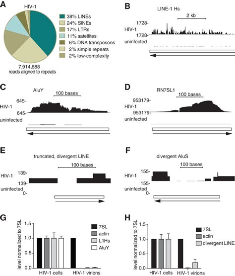 Analysis Of The Human Immunodeficiency Virus 1 Rna Packageome