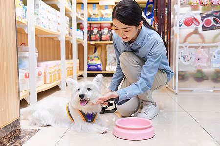 宠物店背景宠物店摄影图片宠物店壁纸摄图网