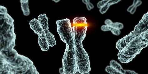 Chromosomal Aberration Structural And Numerical Plantlet