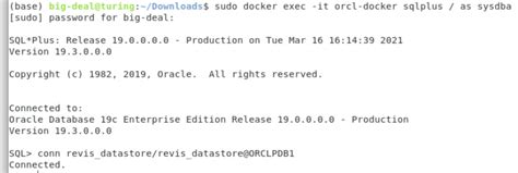 Cant Connect To 19c Docker Container Installed On Ubuntu 1804 From