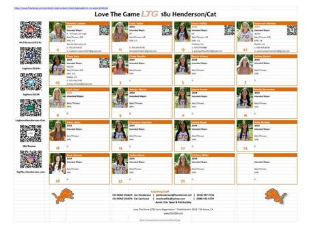 I Need A Team Sheet Duplicated In MS Excel Freelancer