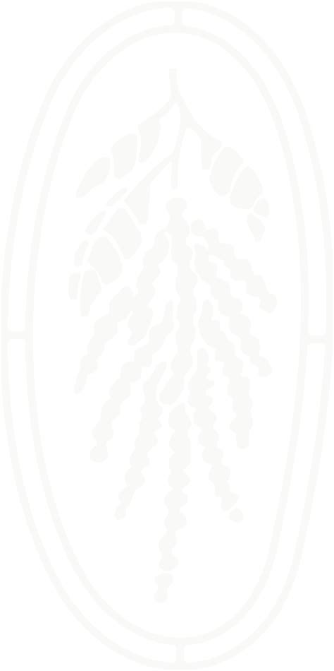 Find Us Amara In Belmont Ca