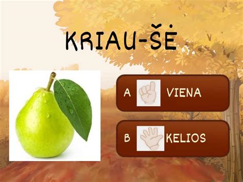 VIENA AR KELIOS Quiz