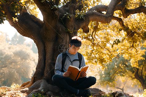 树下读书的男人高清图片下载 正版图片601139782 摄图网 树下读书的男人高清图片下载 正版图片601139782 摄图网