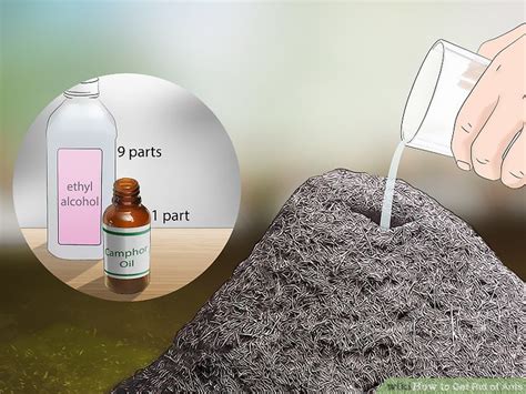 Ways To Get Rid Of Ants WikiHow