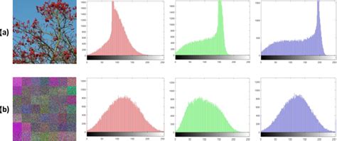 Histogram Analysis A Secret Image I B D Histograms Download Scientific Diagram