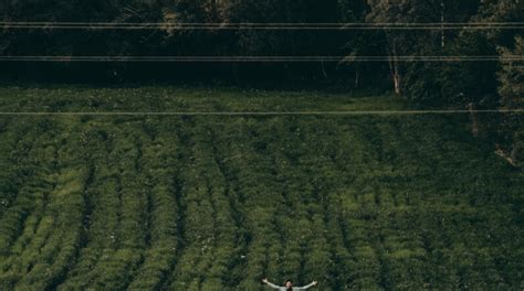 Understanding Key Performance Indicators KPIs In Project Management Project Management Path