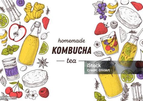 콤부차 스케치를 위한 콤부차 차와 재료 손으로 그린 벡터 그림 콤부차 음료 차 버섯 차 곰팡이 또는 만주 버섯 Kombucha에 대한 스톡 벡터 아트 및 기타 이미지