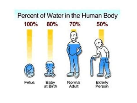 Intake Output Chart Guidelines PPT Medical Health