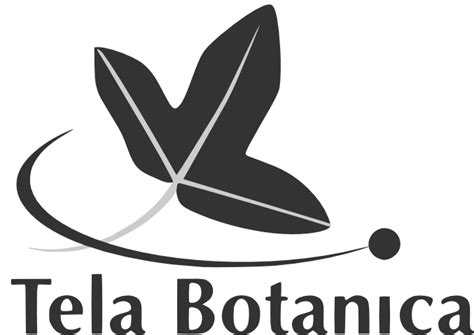 Arbres Feuillus Glissez La Feuille Sur Sa Fleur Genially