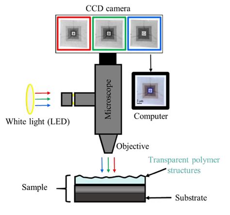 8 Optical Microscope Setup Used To Investigate Polymeric Structures