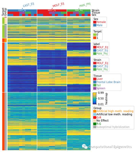 Python也能画漂亮的complex Heatmap？ 腾讯云开发者社区 腾讯云