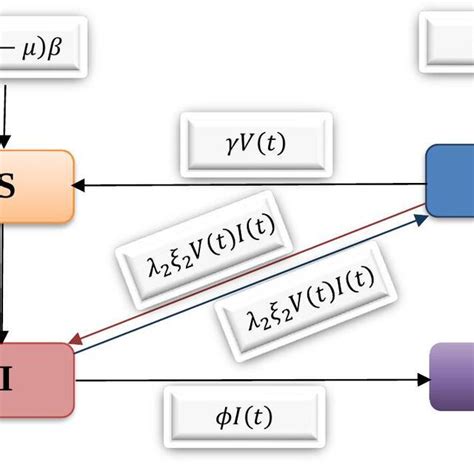 The Flow Chart And Graphical Representation Of The Proposed Model