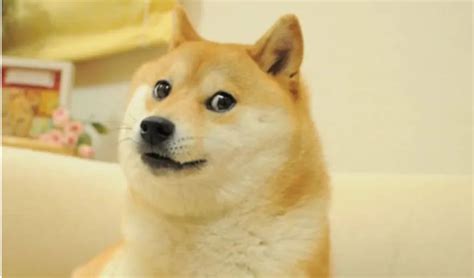 آهنگ مالیدم جعفر