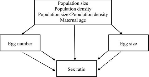 Comparing The Effects Of Social Environments And Life History Traits On