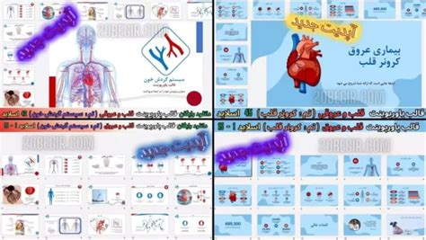 10 4 قالب پاورپوینت قلب و عروق [دانلود رایگان] [آپدیت 1404]