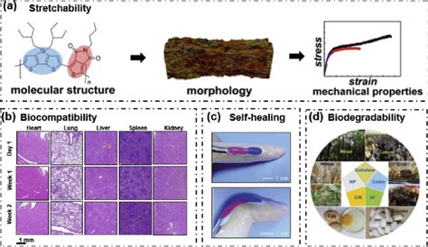 Substrates Or Encapsulation Materials For Flexible Electronics A Download Scientific Diagram