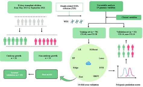 Flow Chart Of A Model Construction For Predicting Growth Patterns Of Download Scientific